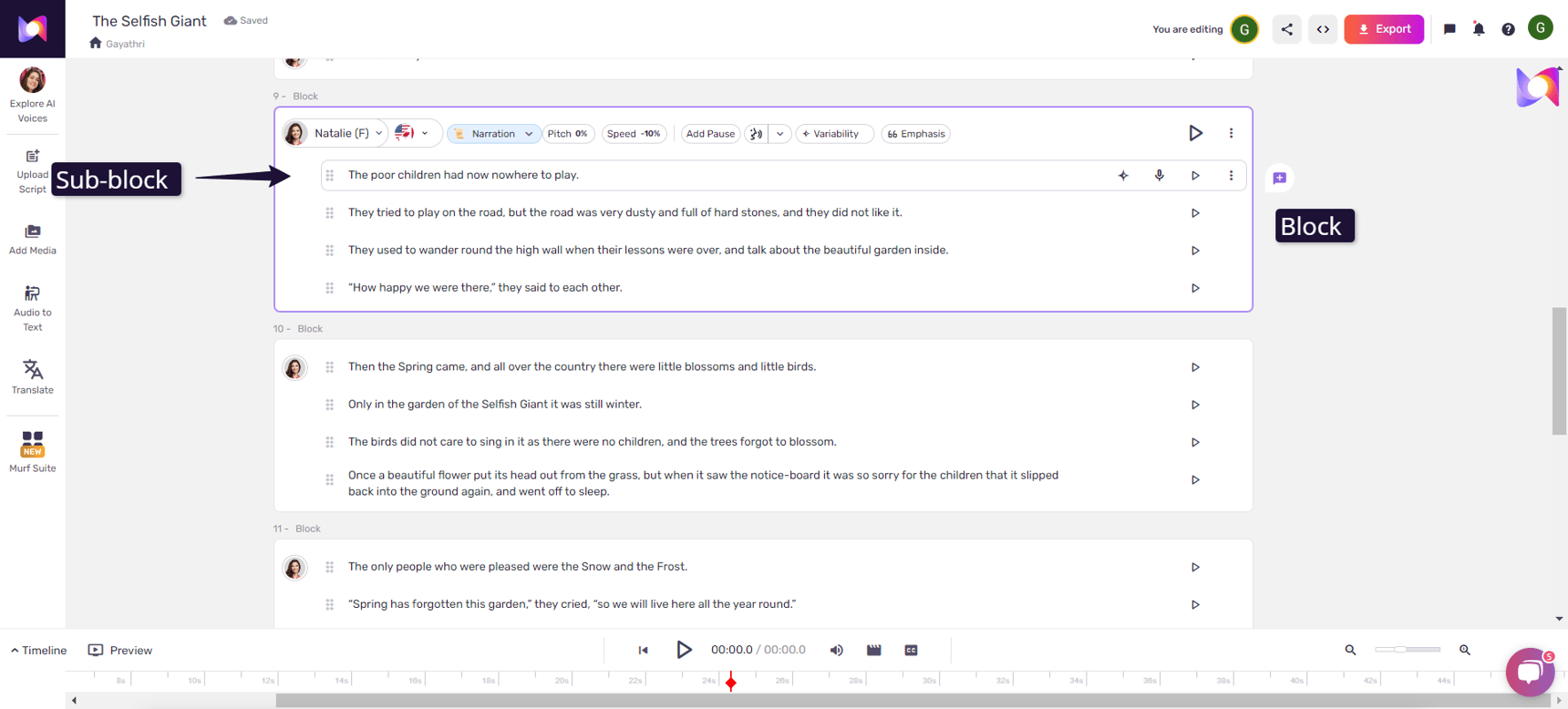 Structuring Your Script